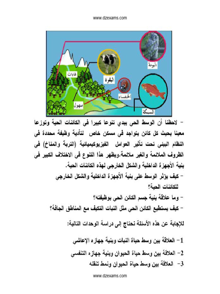 Dzexams Docs 2am 221045 | PDF