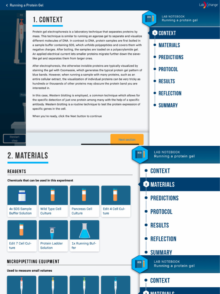 Virtual Lab #2 | PDF
