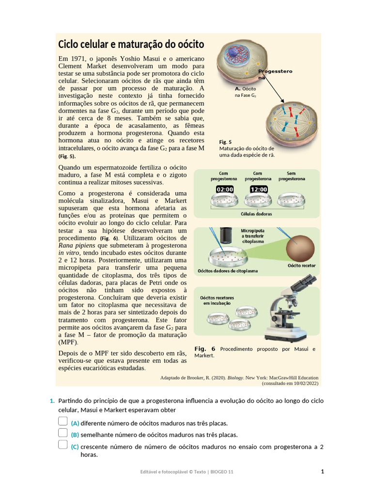 Ciclo Celular e Maturação do Oócito | PDF | Célula (Biologia) | Cromossomo
