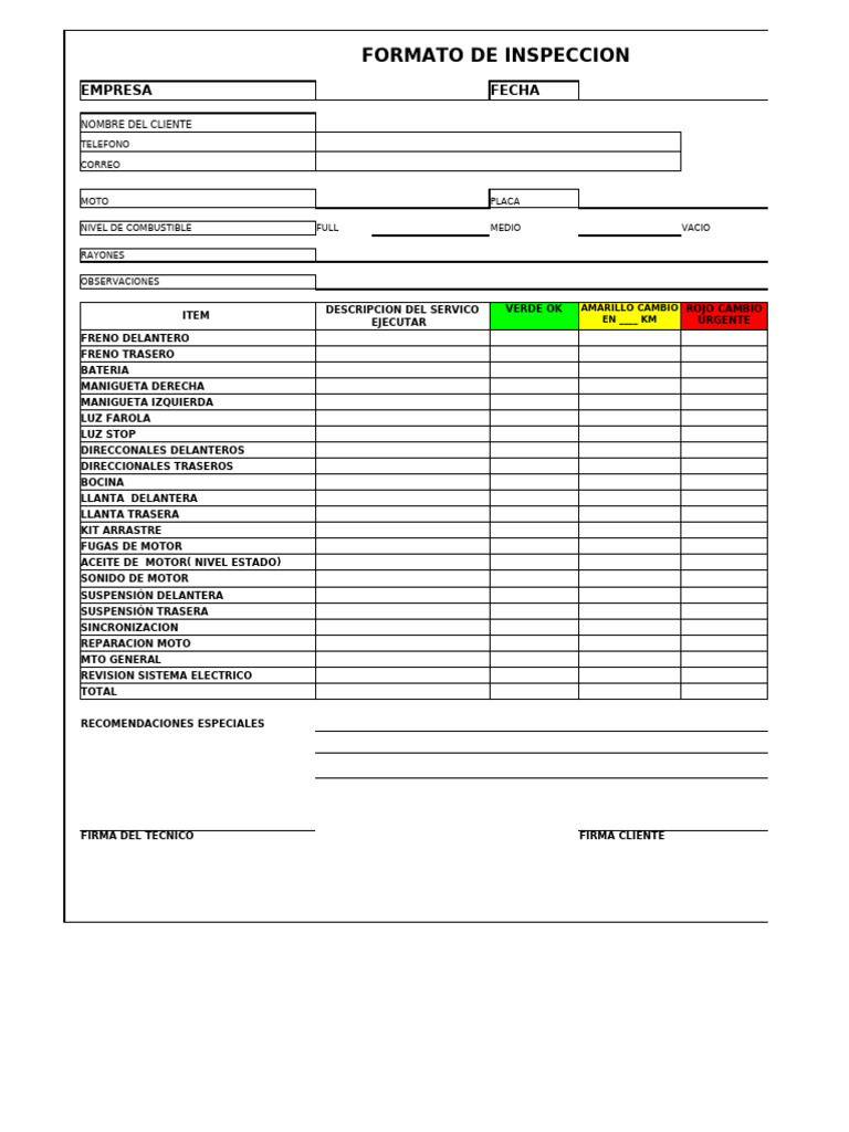 Formato Inspeccion | PDF