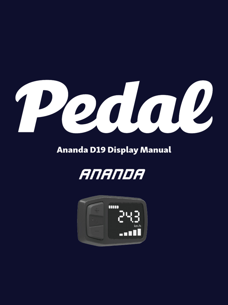 Ananda D19 Display User Manual | PDF | Manufactured Goods | Electricity