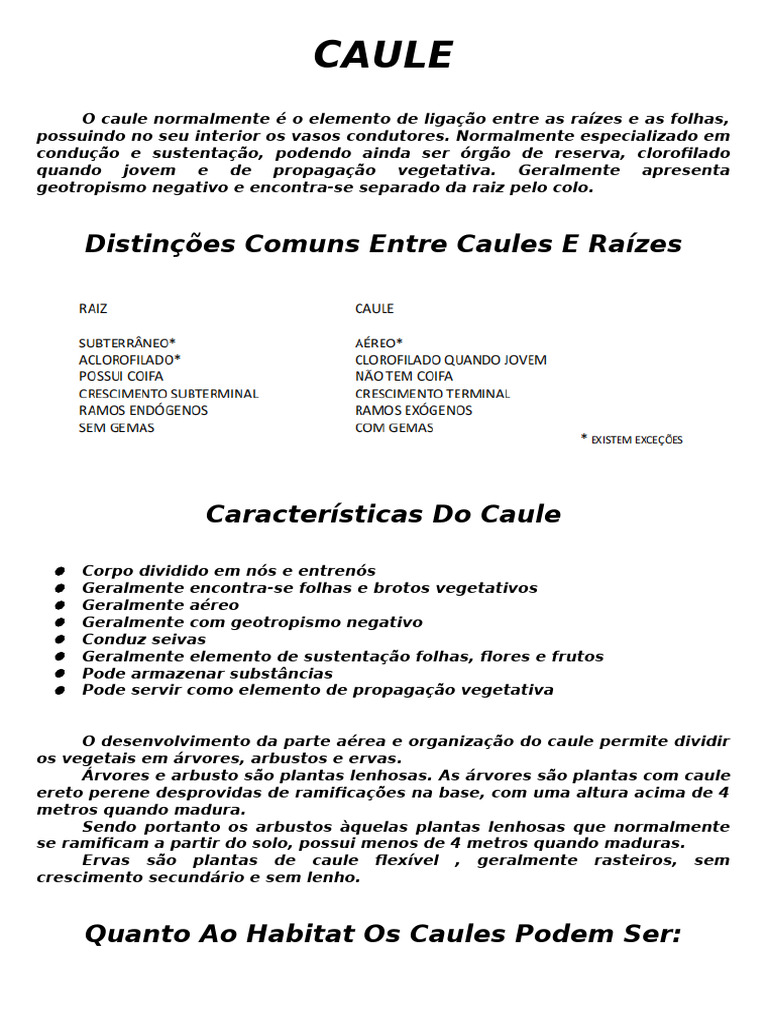 Estrutura e Funções do Caule Vegetal | PDF | Raiz | Caule