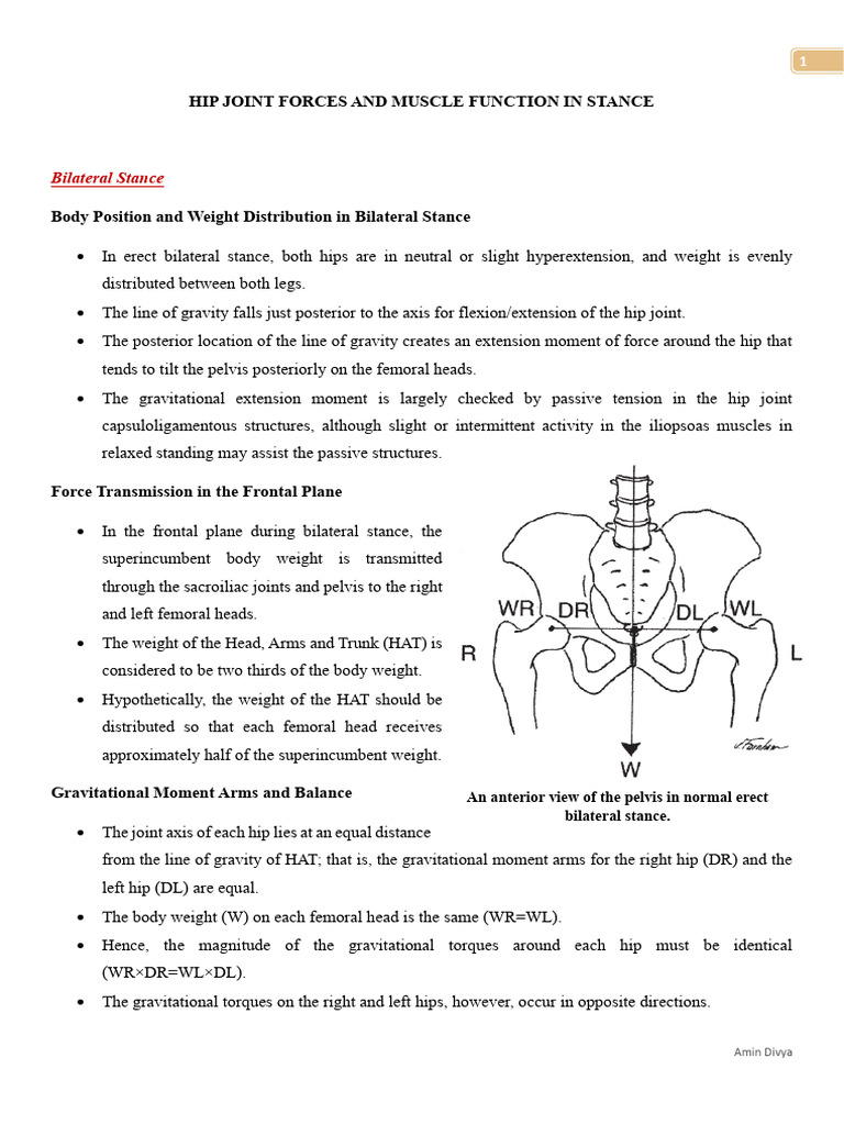 Bilateral Hip Joint Stance Mechanics | PDF | Hip | Pelvis
