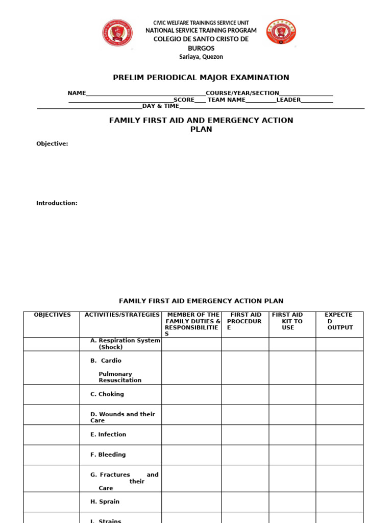 Family First Aid and Emergency Action Plan PRELIM EXAM | PDF | First ...