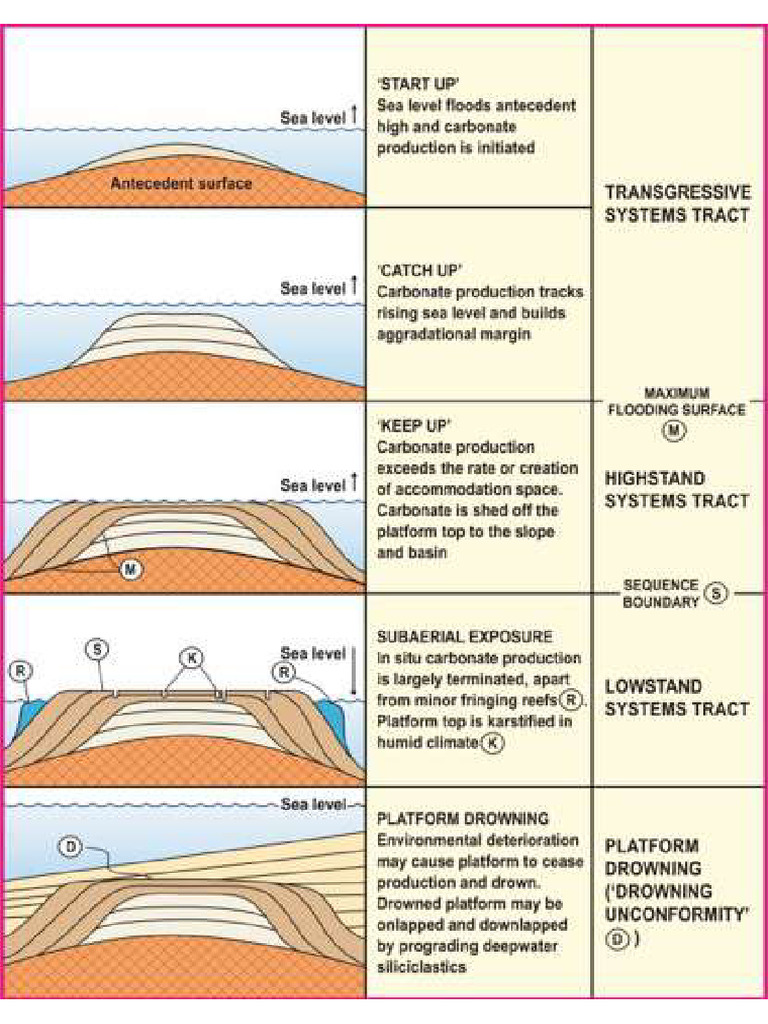 Carbonate Build Up Sequence (Emery & Meyers, 1996) | PDF