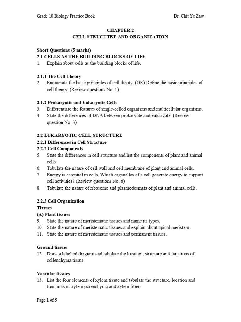 Gr10Bio Ch2 Questions ONLY | PDF | Tissue (Biology) | Cell (Biology)