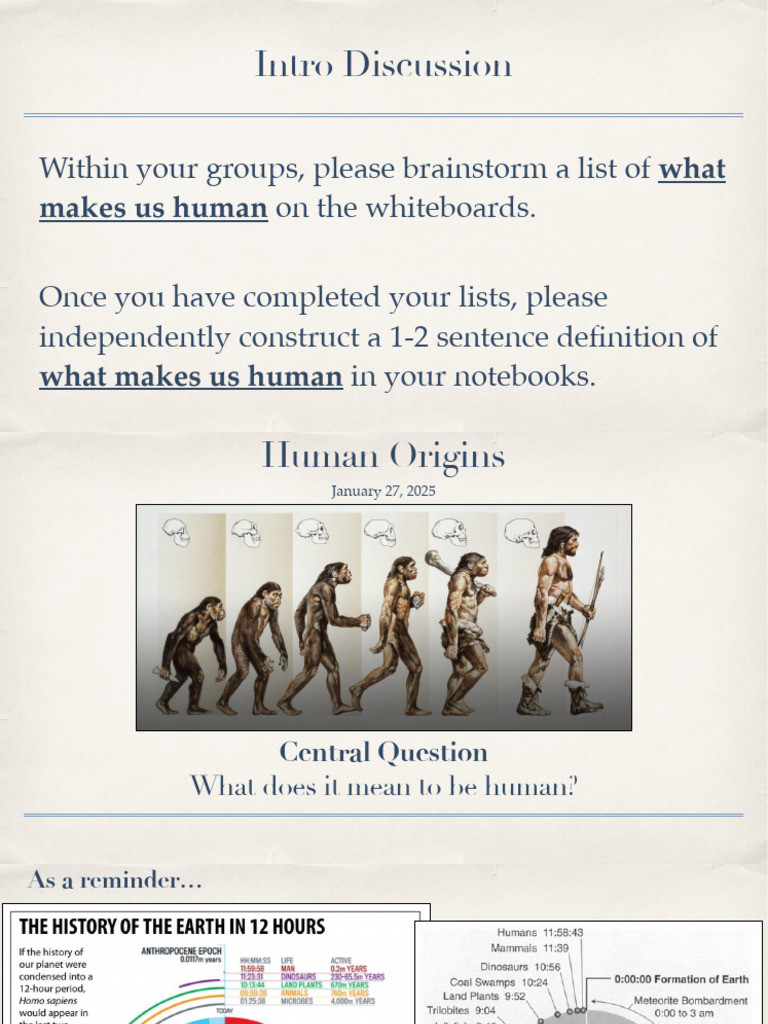 Human Origins | PDF | Human Evolution | Homo