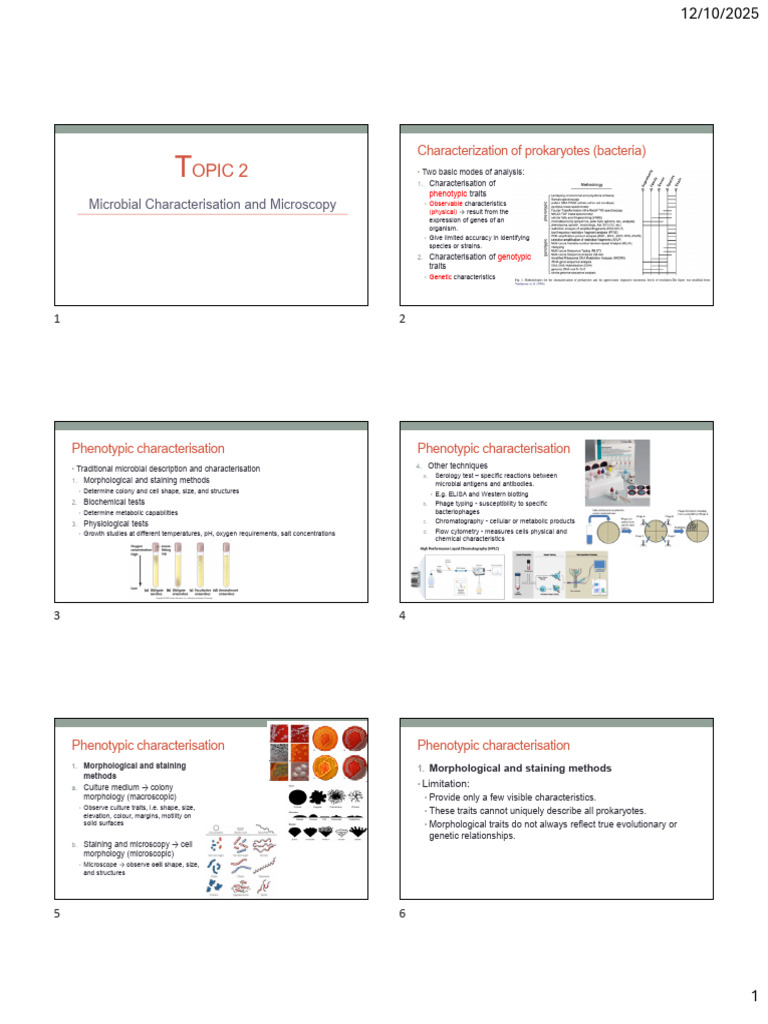 Microbial Characterization Techniques | PDF | Angular Resolution ...