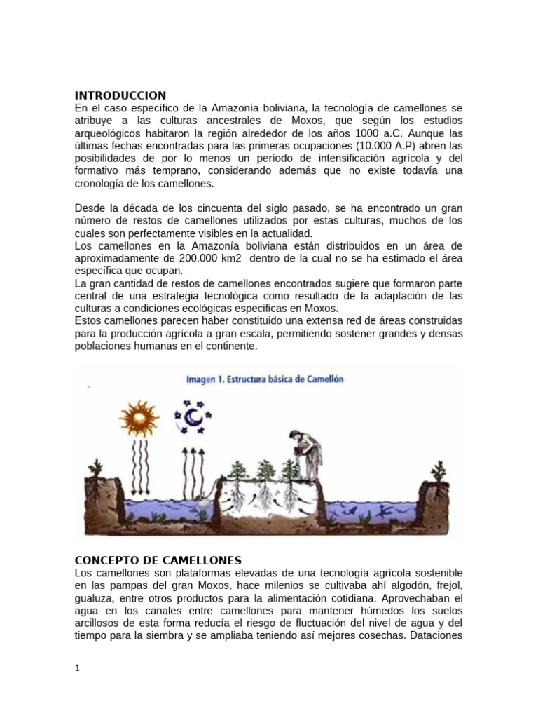 Cultura hidráulica de Moxos y camellones | PDF | Agricultura | Agua