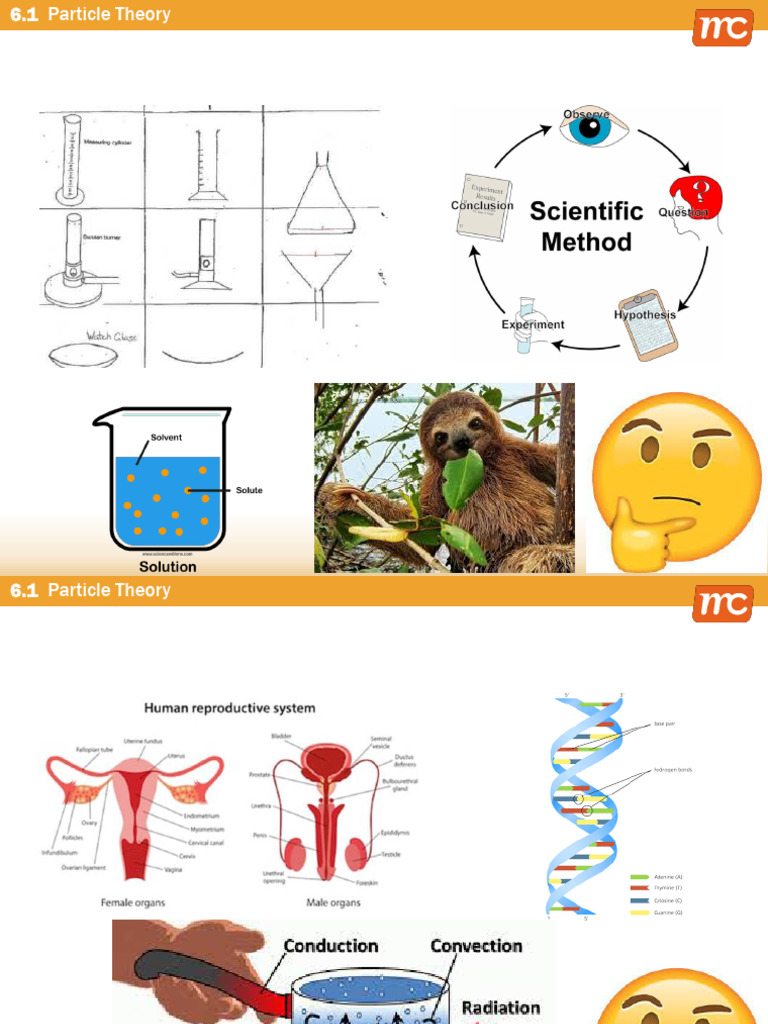 Understanding Particle Theory of Matter | PDF | Atoms | Matter