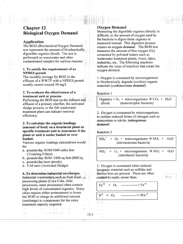 BOD Discussion With Presentation (Chapter 12) | PDF