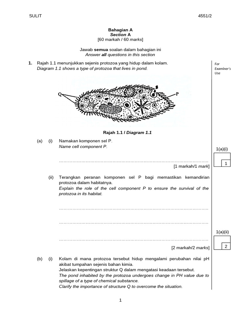 Latihan Bio T4 | PDF