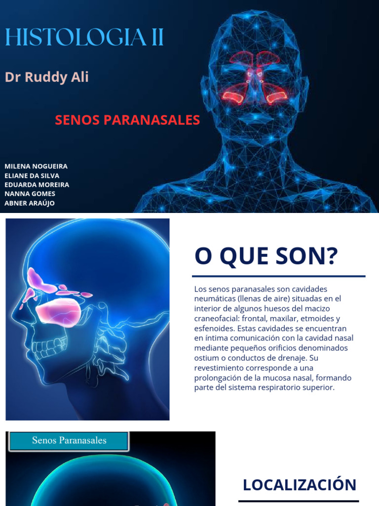 Anatomía de los Senos Paranasales | PDF | Anatomía humana | Rinología