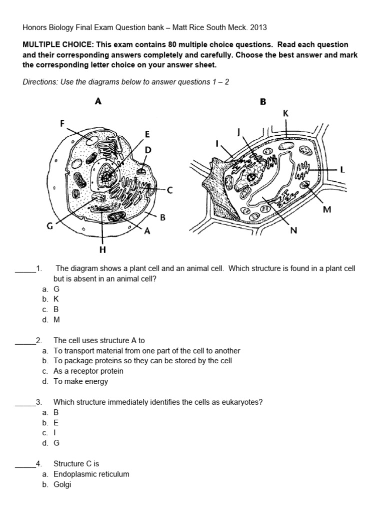 Honors Biology Final Exam Bank - 2013 Mattrice | PDF | Mitosis | Cell ...