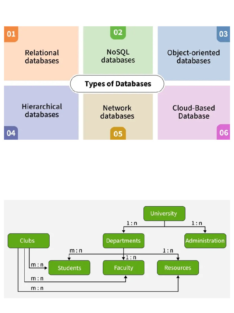 Application of Databases | PDF