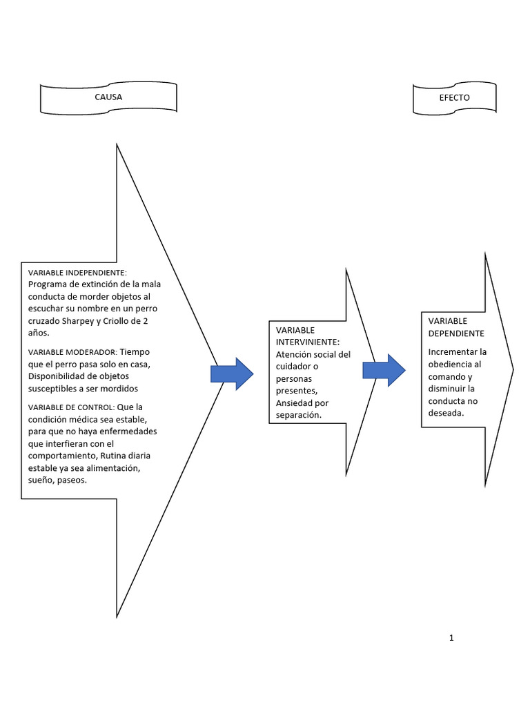 Explicación Detallada de Las Variables Del Experimento | PDF
