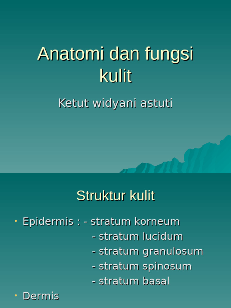 Anatomi Dan Fungsi Kulit | PDF