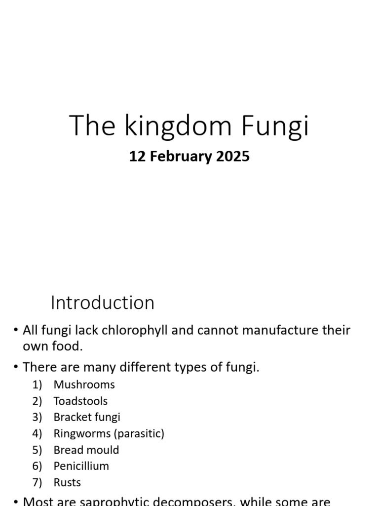 Overview of Fungi: Types and Characteristics | PDF
