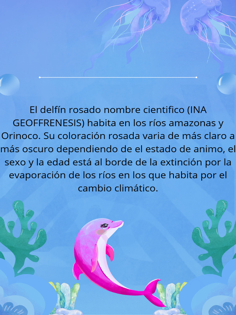 El Delfín Rosado, Conocido También Como Boto o Delfín Del Amazonas, Es ...