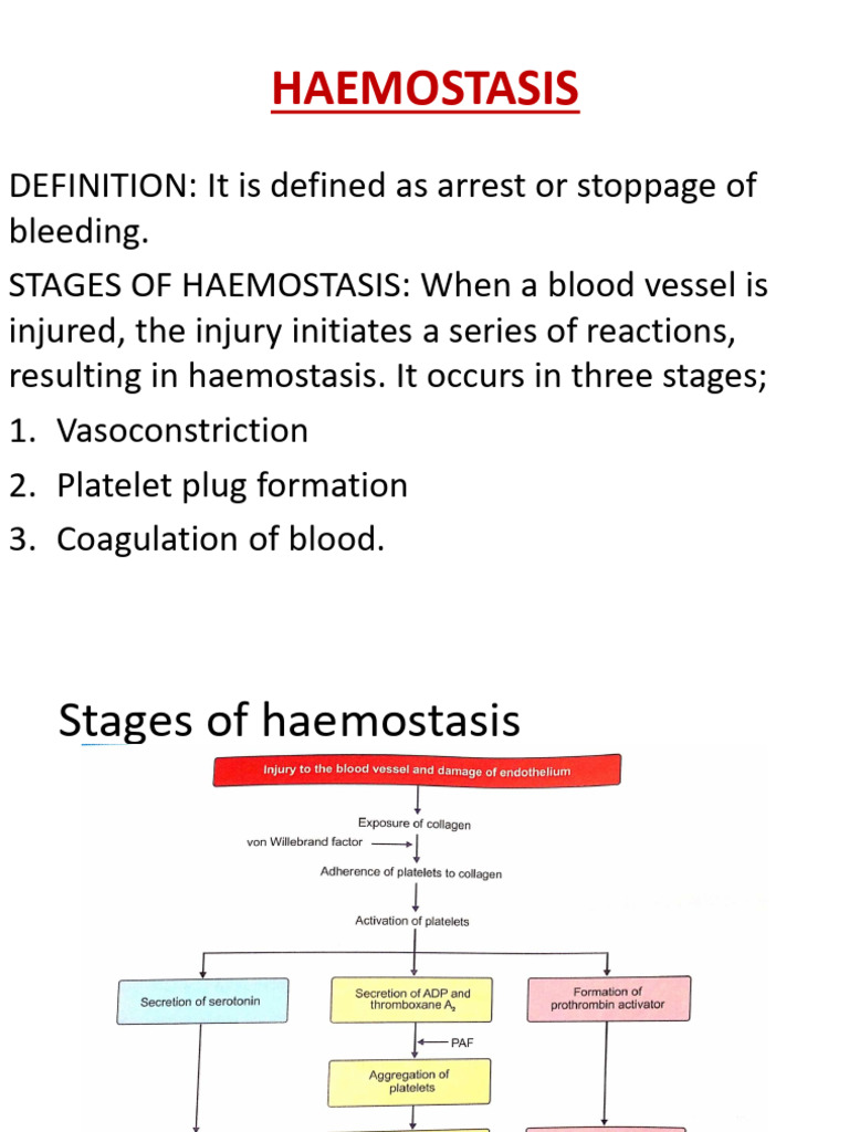 CLOTTING | PDF | Coagulation | Bleeding