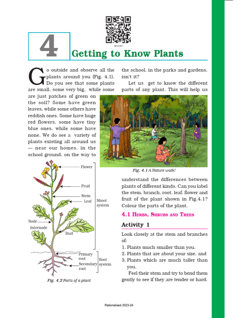 Understanding Plant Parts and Types | PDF | Leaf | Flowers