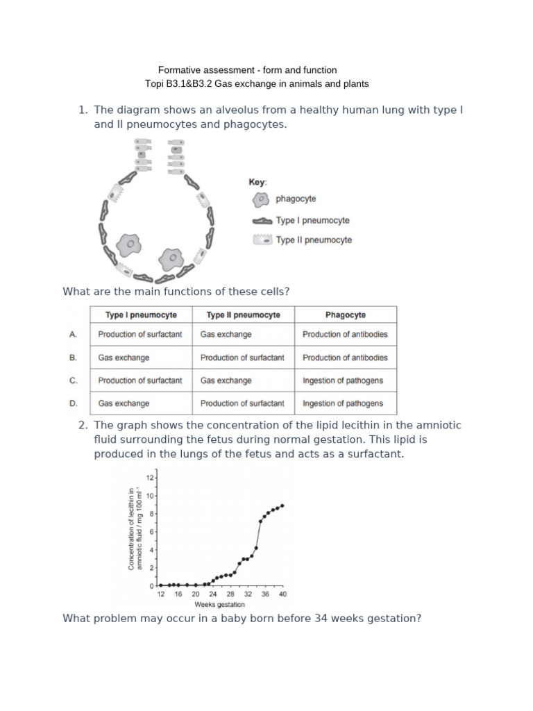 Formative Assessment - Form and Function. | PDF | Lung | Anatomy