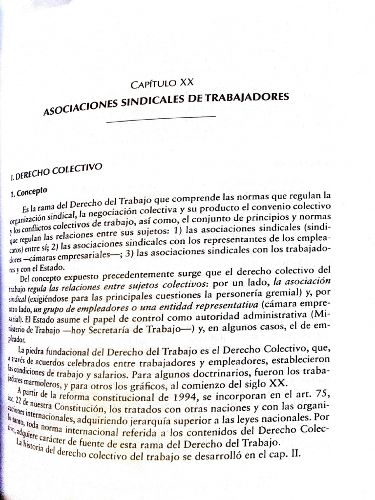 Manual Derecho Laboral Grisolia | PDF | Relaciones laborales | Business