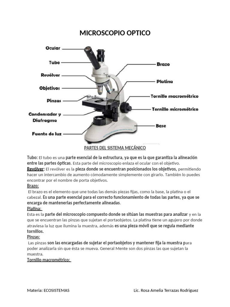 Partes del Microscopio Óptico | PDF | Lente de la cámara | Óptica