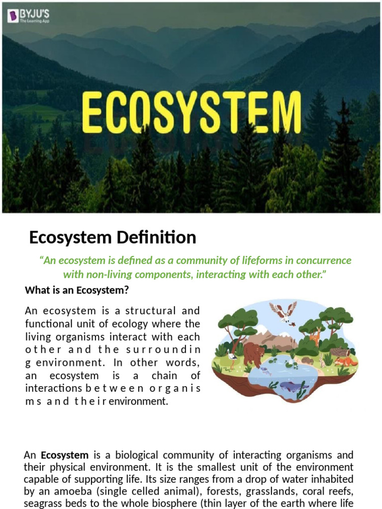 Basic Concept of Ecosystem | PDF | Ecosystem | Natural Environment