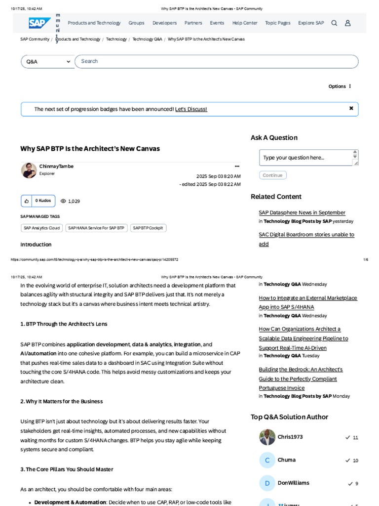 SAP BTP: The Architect's Canvas | PDF | Cloud Computing | Information ...