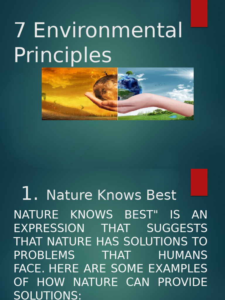 7 Environmental Principles | PDF | Foods | Climate Change