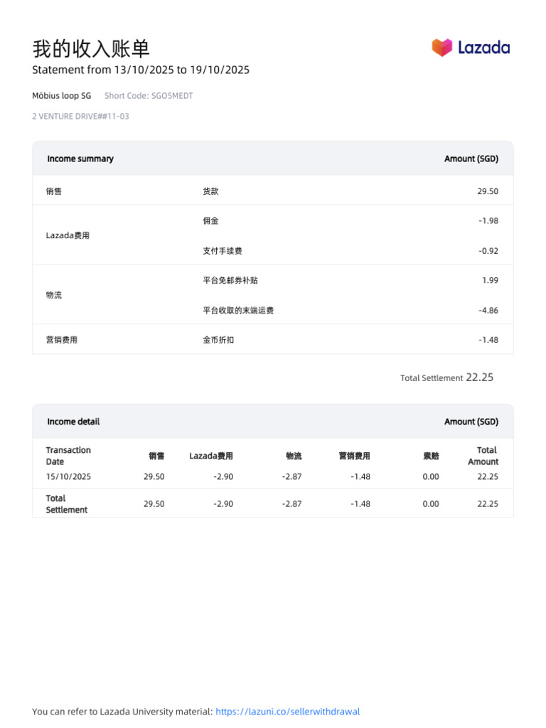 Lazada Income Statement Summary | PDF
