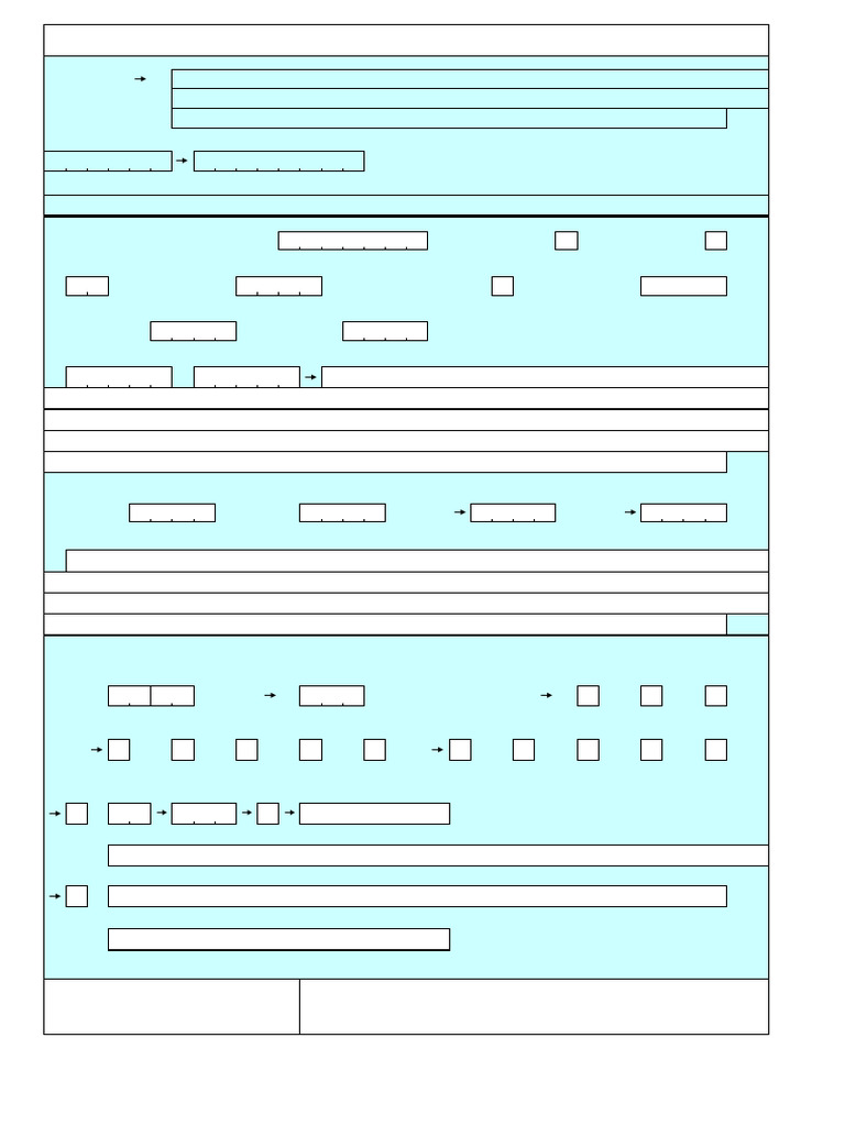 Flight Plan Blank | PDF