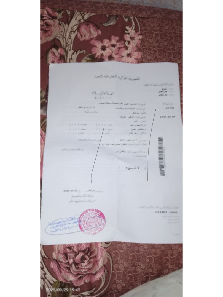 OneRead 20251010 1207 | PDF