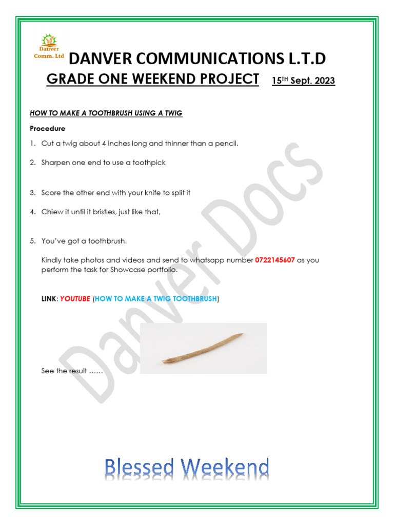 Grade 1 Project (How To Make A Toothbrush) | PDF