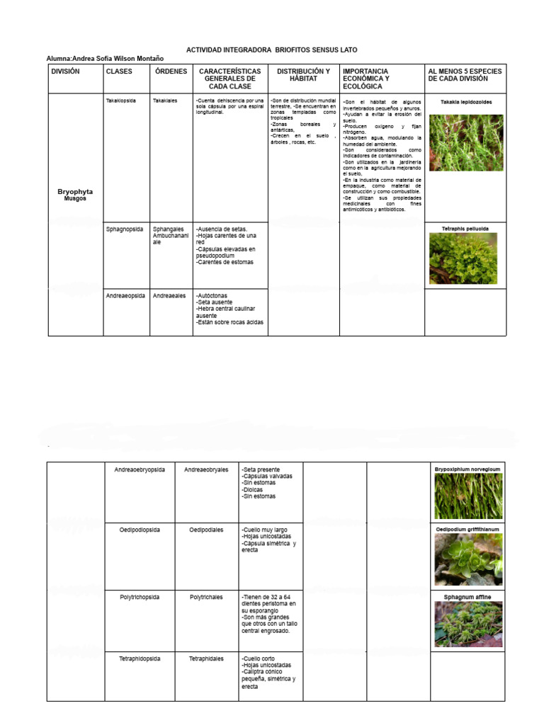 Características y Hábitat de Briofitos | PDF | Plantas | Botánica