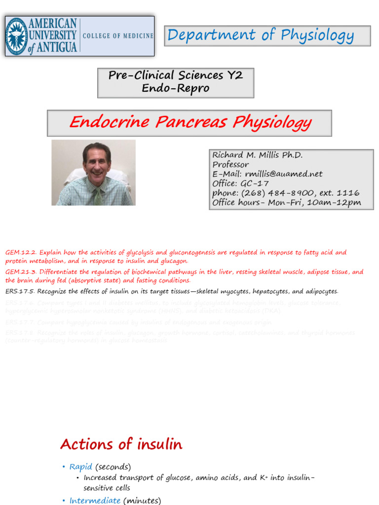 Endocrine Pancreas Physiology 092125 | PDF | Insulin | Glucose