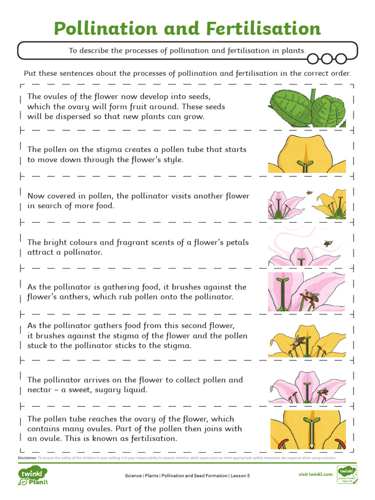 Understanding Pollination and Fertilisation | PDF | Flowers | Pollinators