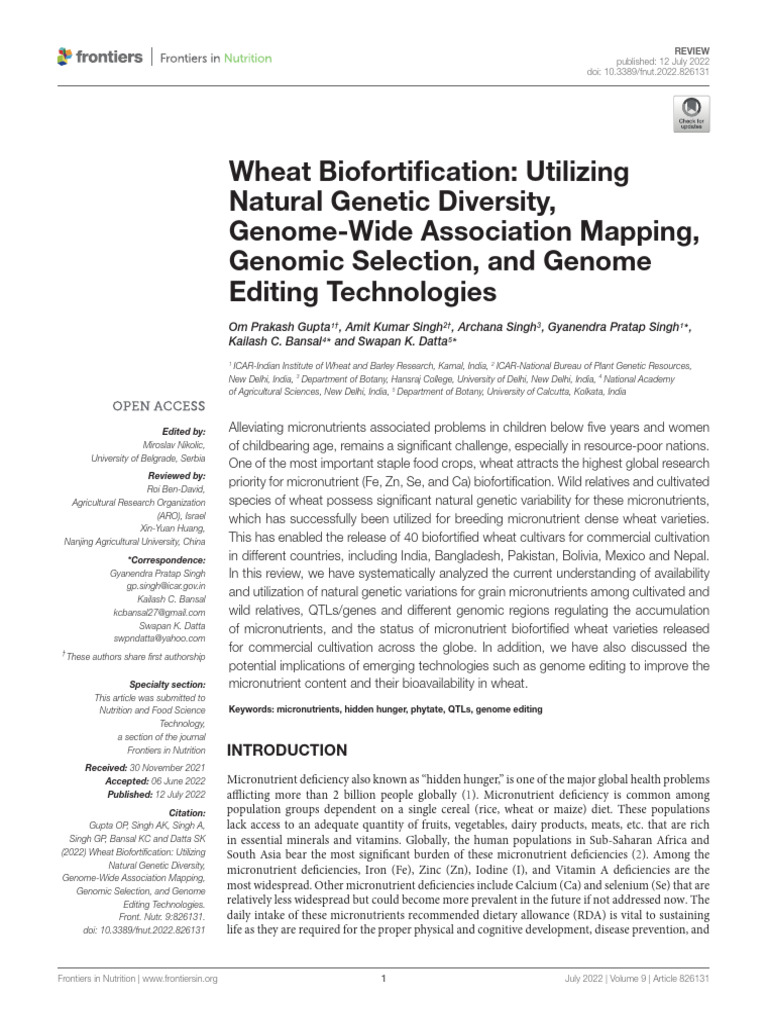 Wheat Biofortification Utilizing Natural Genetic D | PDF | Wheat | Genome Wide Association Study