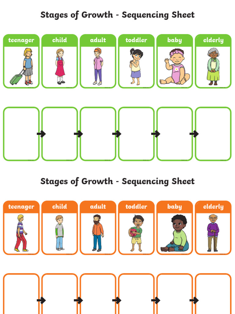 T T 18160 Stages of Growth Sequencing Activity Ver 3 | PDF