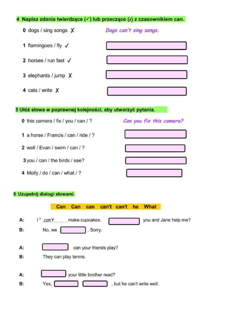 Czasownik Can | PDF