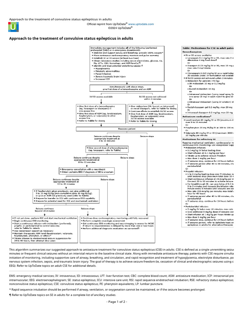 Approach To The Treatment of Convulsive Status Epilepticus in Adults ...
