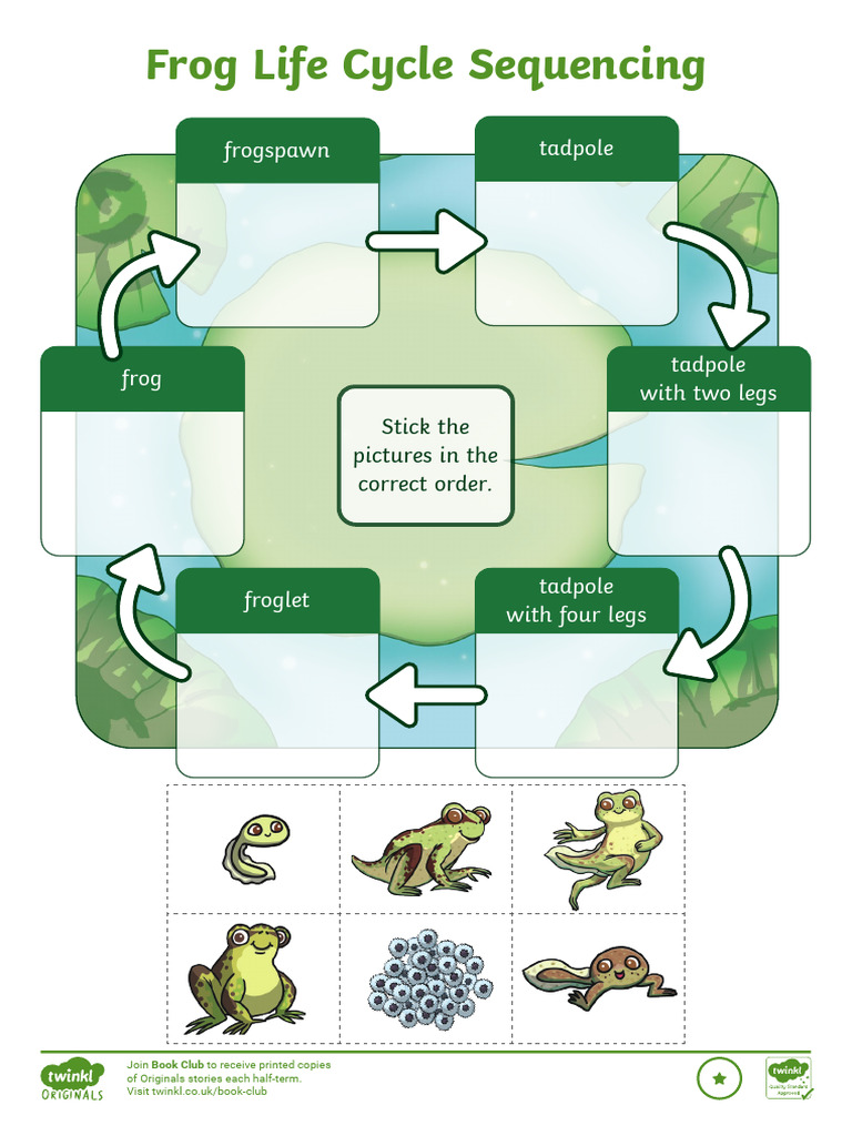 T SC 1674130707 Frog Life Cycle Sequencing Activity Ver 1 | PDF | Frog ...