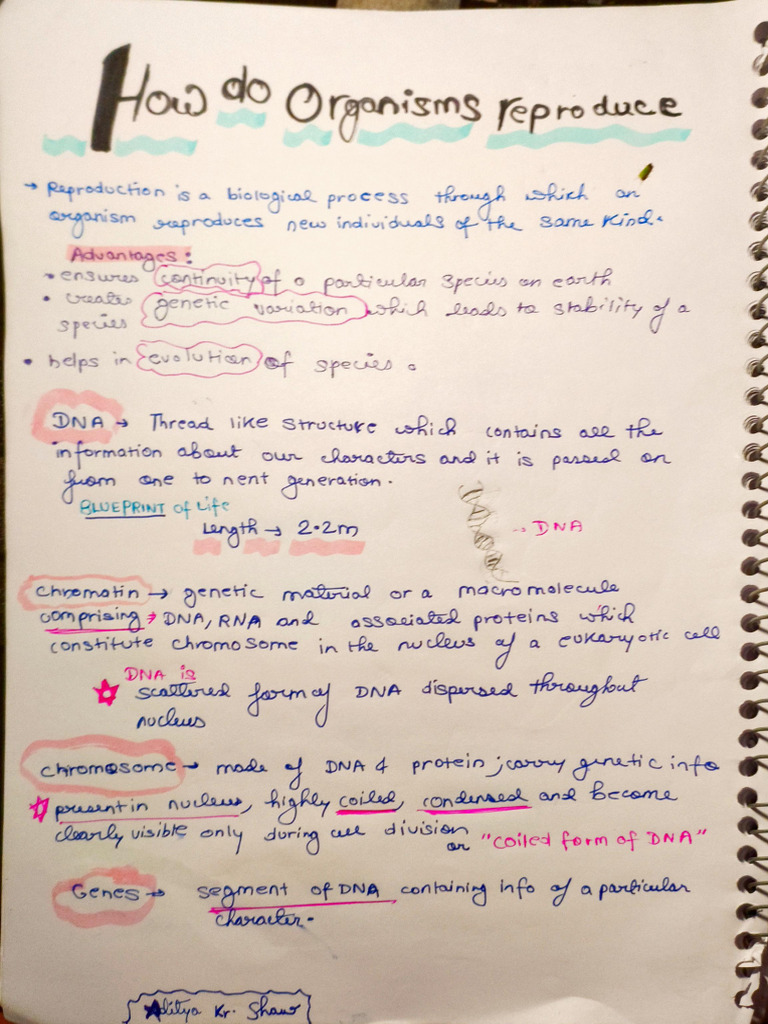 How Do Organisms Reproduce - Notes PW | PDF | Reproduction | Biological ...