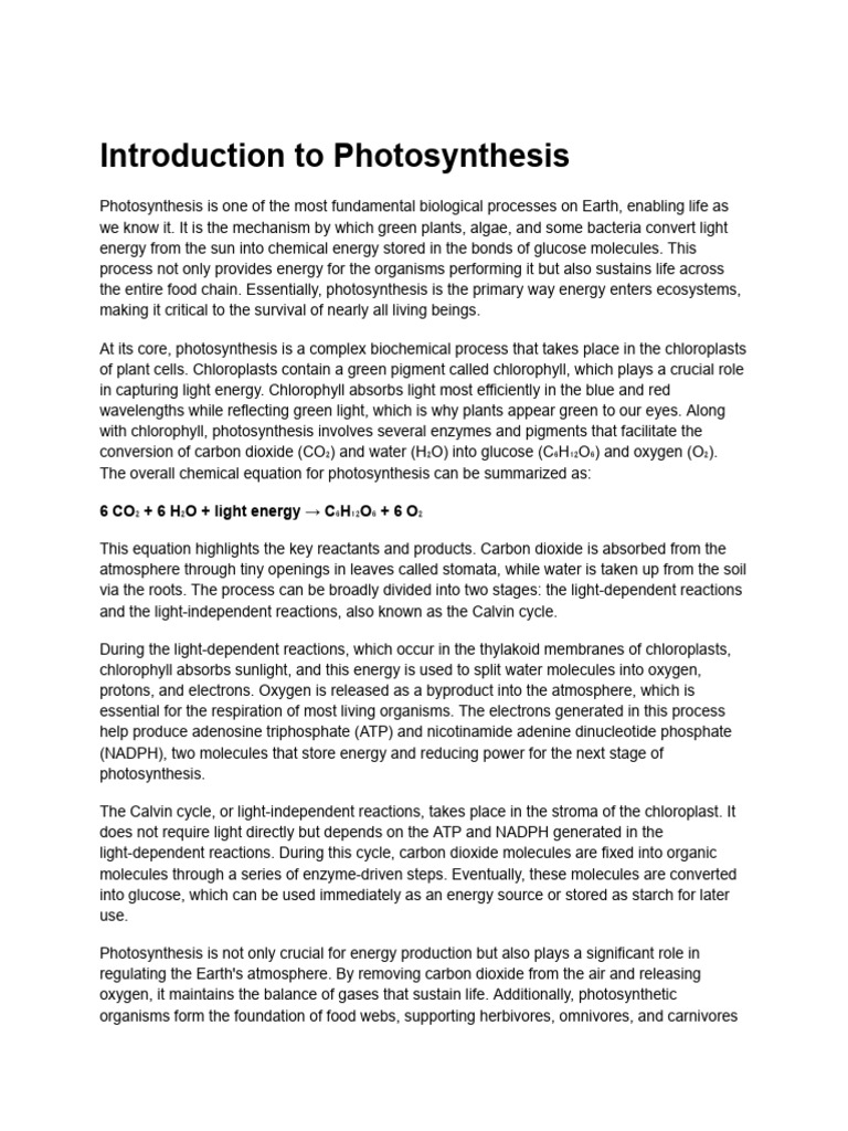Understanding Photosynthesis Process | PDF | Photosynthesis | Chloroplast
