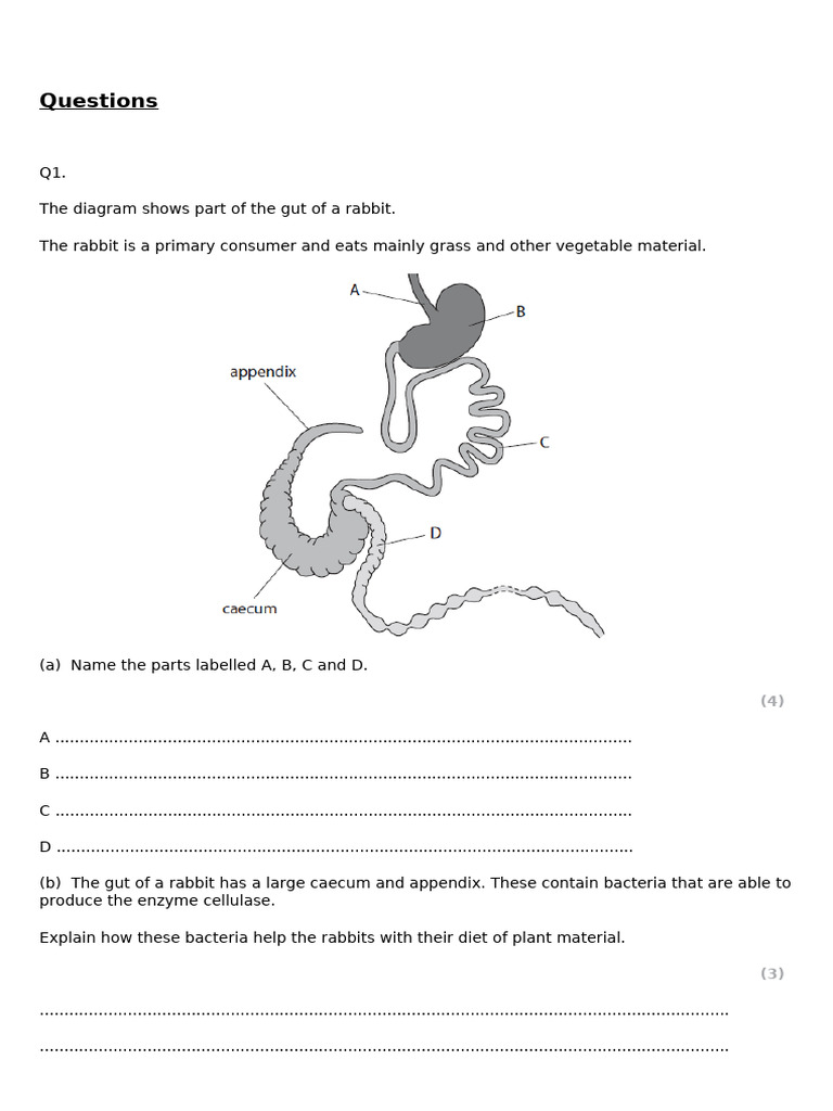 Biology Unit 1 Modular Past Paper Ms Lousine | PDF | Blood | Genotype