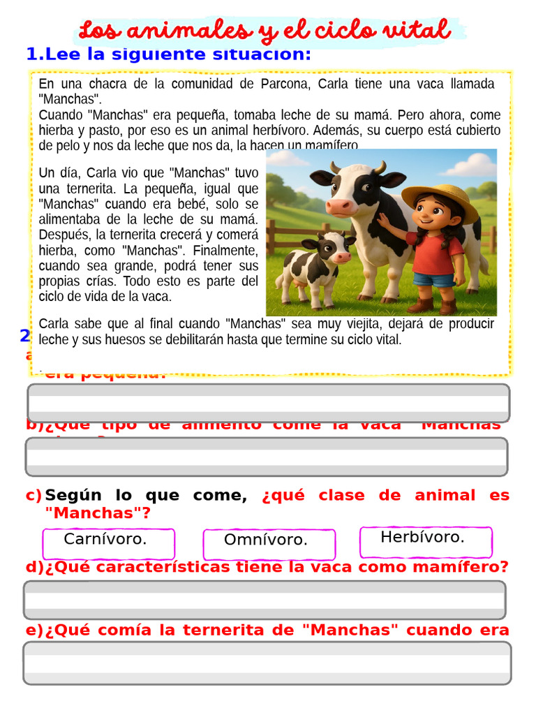 Ficha Los Animales y El Ciclo Vital | PDF | Vacas | Invertebrado