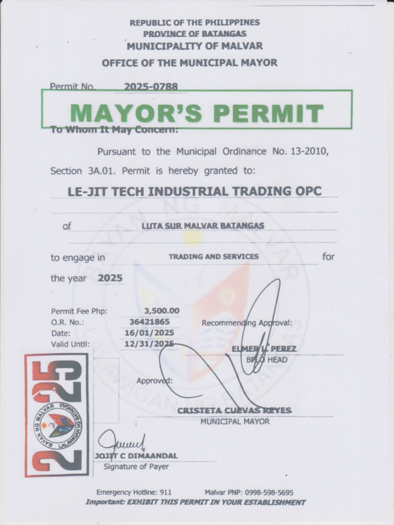 Mayors Permit | PDF