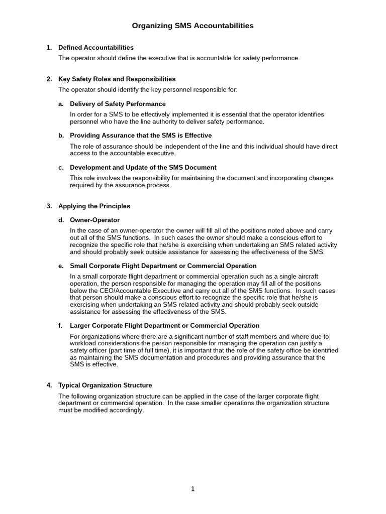 Organizing SMS Accountabilities | PDF | Safety | Risk