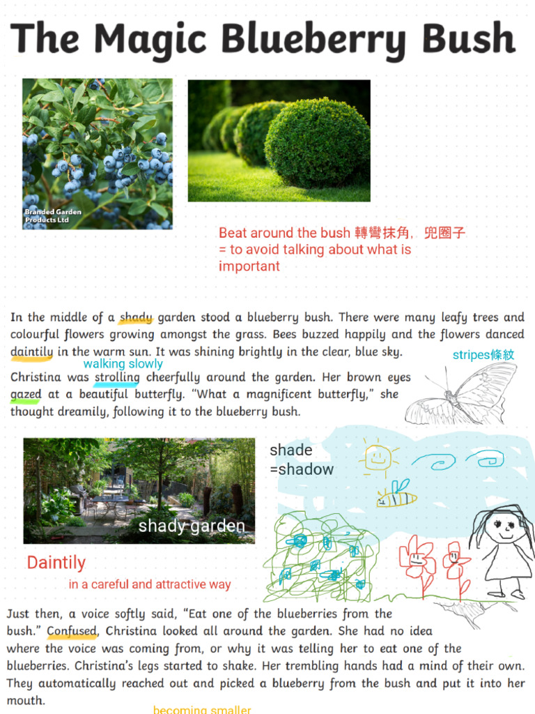The Magic Blueberry Bush | PDF